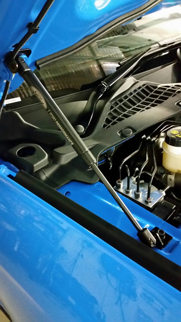 2015-23 Bonnet Struts-Ford Performance - Autoware