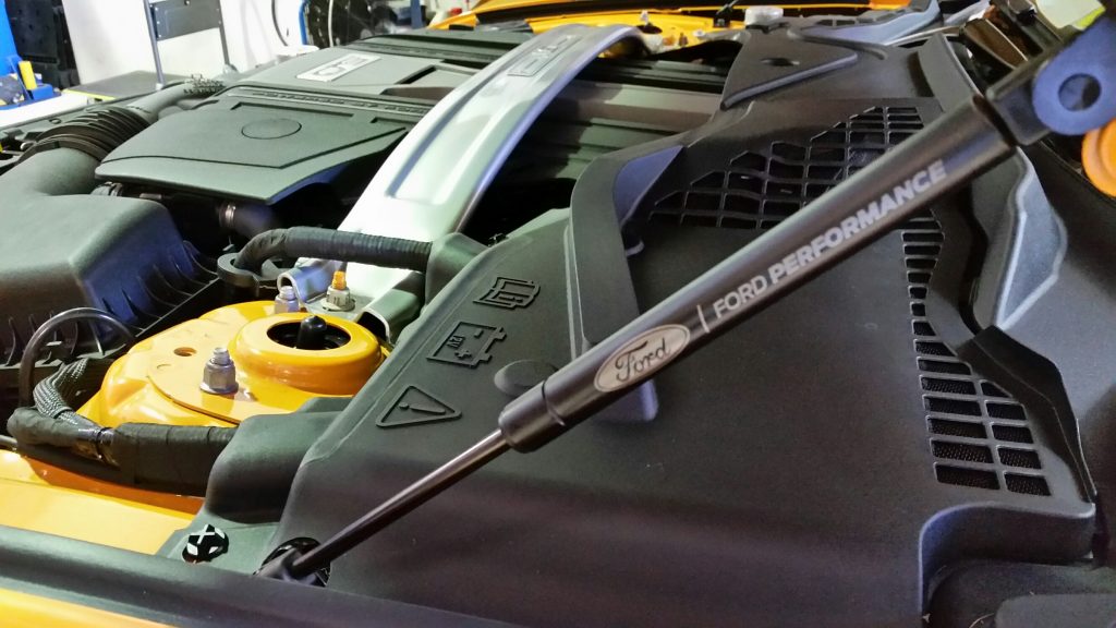 2015-23 Bonnet Struts-Ford Performance - Autoware