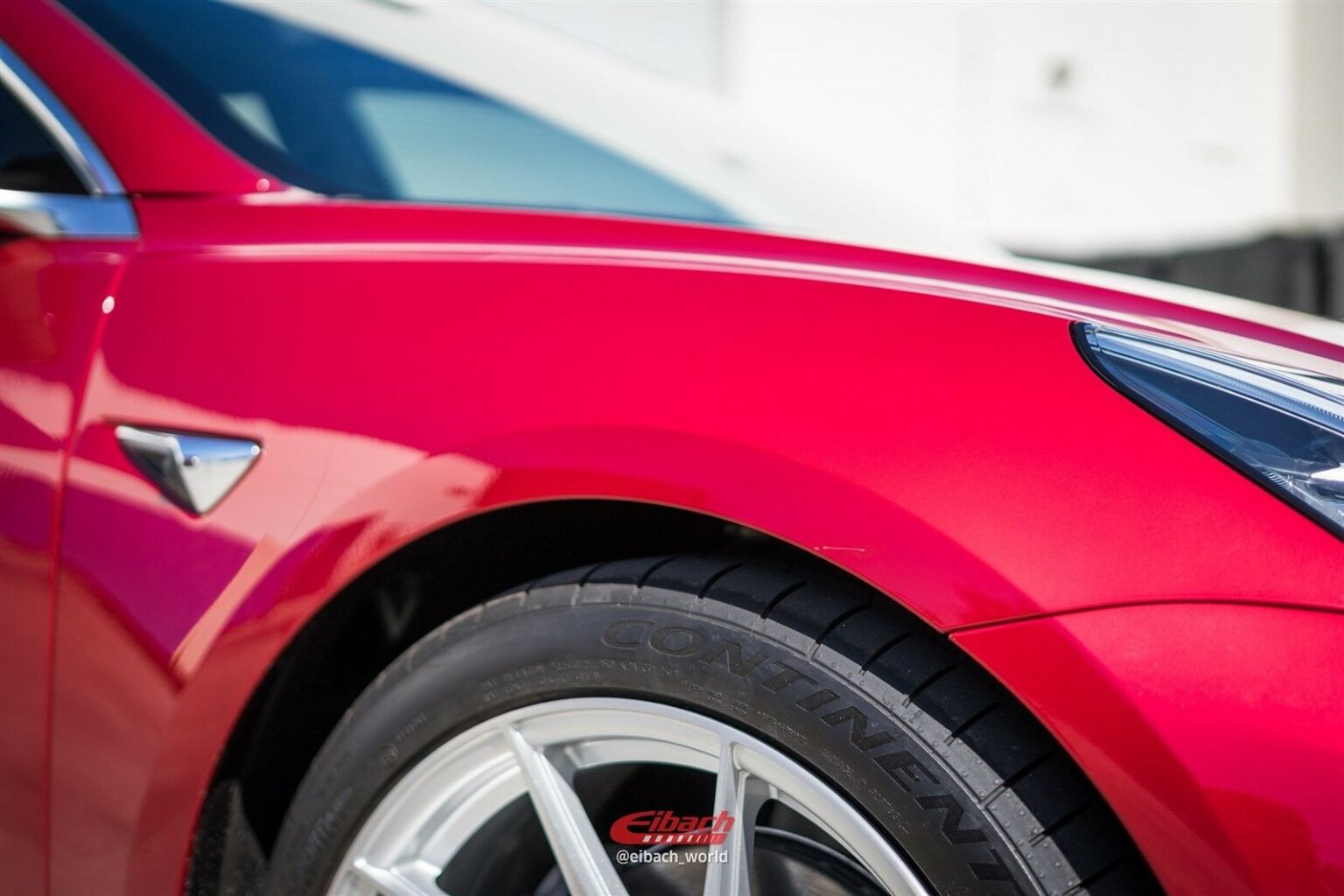 Tesla Model 3 Eibach Lowering Springs (RWD) - Autoware